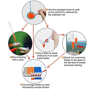Saricho brine Shrimp Egg Dispense Storage Bottle kit for brine Shrimp Hatchery with 50 brine Shrimp Egg Collection Bottles,Bottles Holder,3 Aquarium feeders,2 Automatic Feeding Bottles,Collecting net
