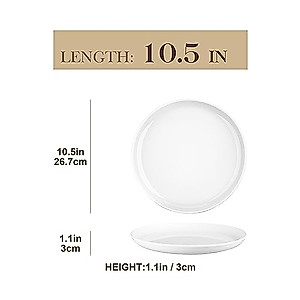 MALACASA 10.5 Inch Dinner Plates Set of 6, Porcelain Round Dessert Plates, Serving Plates, Salad Plates Set, Microwave & Dishwasher Safe, White, Series REG