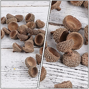 Yardwe Natural Acorn Caps Acorn Hats: 80Pcs Tops Small Fake Acorn Caps for Crafting Decoration DIY Christmas Weddings Crafts