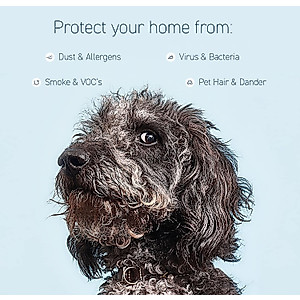 HATHASPACE Harmony 600 Certified Replacement Filter for HSE600 Air Purifier, H13 True HEPA