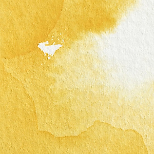 Winsor & Newton Professional Watercolor, 14ml (0.47-oz) Tube, Cadmium Yellow