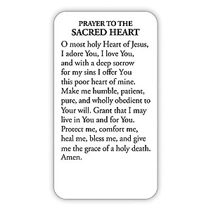 Daily Devotional Wallet, Mini Book of Favorite Catholic Novenas, Holy Card and Sacred Medal, 2 X 3 Inches