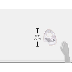 Baby Aspen Chomp and Stomp Shark Bib and Booties Gift Set, Pink