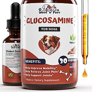 Dog Glucosamine - Supports Hip & Joint Health, & Much More - Glucosamine for Dogs Hip and Joint Supplement - Glucosamine for Dogs - Dog Joint Supplement - Glucosamine Chondroitin for Dogs - 1 fl oz