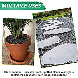 Succulent Rocks for Plants Tiny Pebbles for Planters 4.8LB Pea Gravel Bulk Polished Course Sand Soil Small Decorative Stones for Indoor Bonsai Pots Cactus Top Dressing Aquarium Garden Landscape, Black