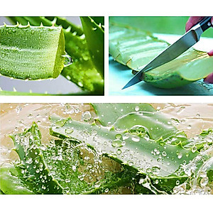 Mroobest Aloe Vera Gel, Aloe Gel 100 Percent Pure Plant, Deeply Hydrating ＆ Repairing, Sunburn ＆ Eczema Relief, Acne, Small Cuts, Suitable for Face, Body