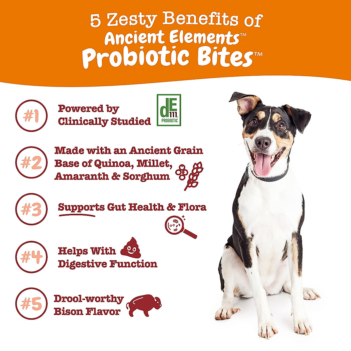 Ancient Elements Probiotics for Dogs - Chewable Dog Probiotic Supplement + Multifunctional Supplements for Dogs - Glucosamine Chondroitin for Joint Support