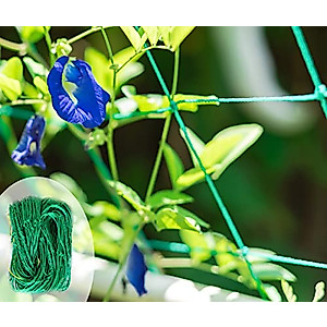 Trellis Netting for Climbing Plants, 6.6 x 16 Ft Cucumber Trellis Heavy Duty Garden Vegetables Grow Net for Fruits, Bean, Tomato, Garden Plants