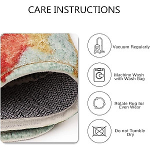 Lahome Machine Washable Floral Living Room Rug - 5x7 Area Rugs for Bedroom Non-Slip Large Low-Plie Kitchen Rug Soft Throw Nursery Kids Room Rug Distressed Indoor Carpet for Dining Room Entryway Office