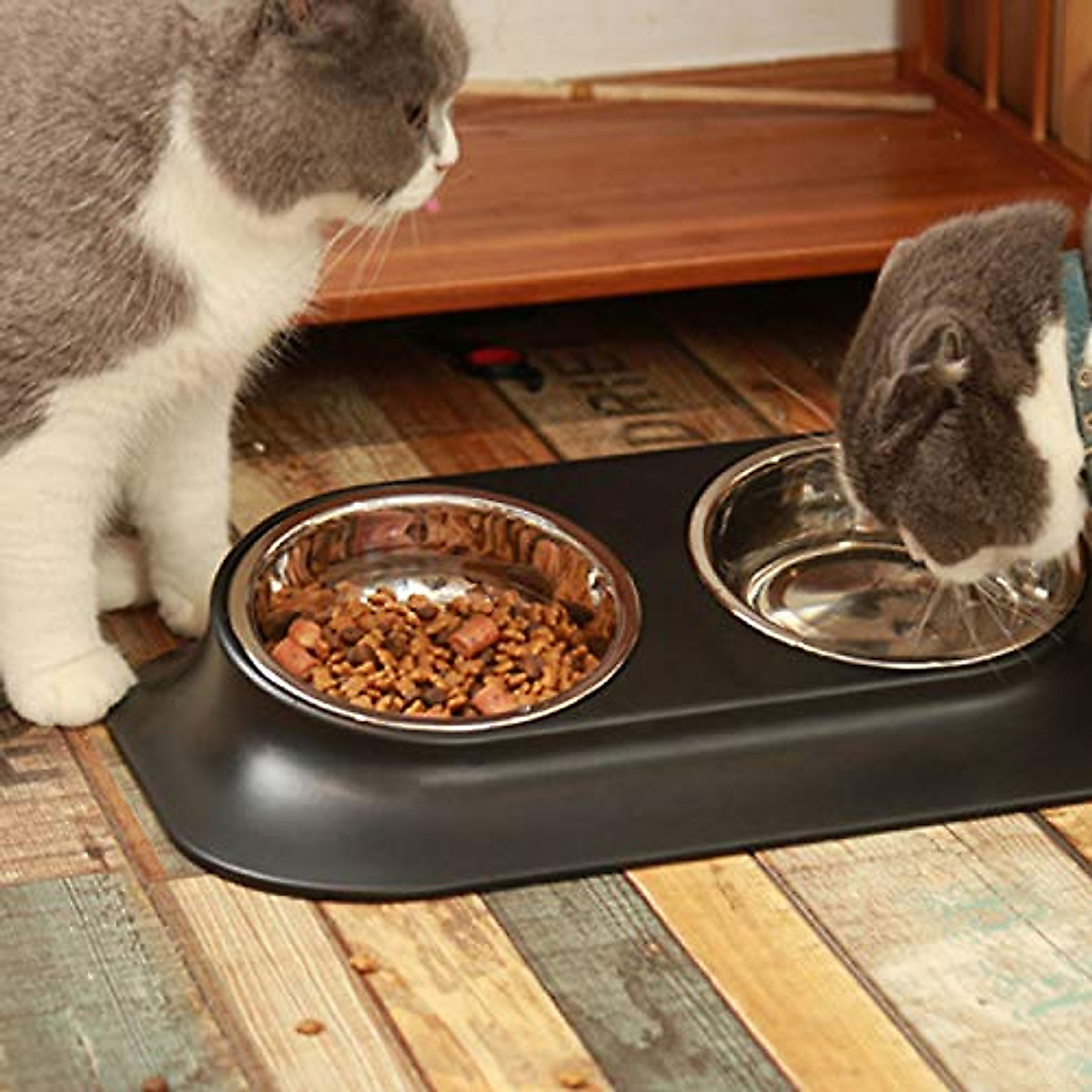 Raised Cat Bowl Pet Bowl,Stainless Steel Elevated Small Dog Bowls,15°Tilted Whisker Reliefs Fatigue Free Stress Anti Vomiting Cat Food Water Bowls,Non Slip Cat Feeding Bowls（Double Bowl）