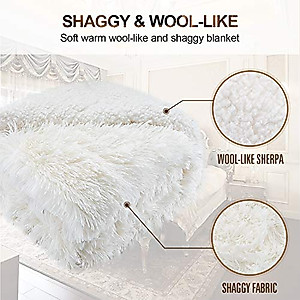 Softlife Super Soft Fluffy Faux Fur Throw Blanket 50" x 60" Reversible Plush Warm Sherpa Blankets for Couch Sofa Bed Throws Home Decorative, Cream
