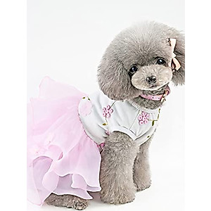QWINEE Dog Dresses Pets Flower Mesh Dog Tutu Dress Birthday Wedding Party Dog Clothes for Cat Puppy Small Medium Dog Pink L
