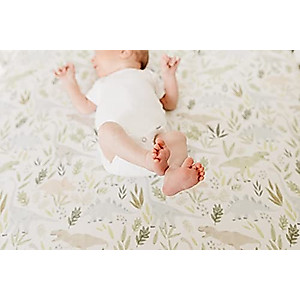 Premium Fitted Knit Crib Sheet/Toddler Sheet Rex by Copper Pearl