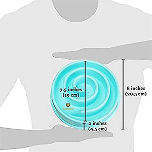 FUUIE Bowls for Food and Water Pet Dog Feeding Food Bowls Puppy Slow Down Eating Feeder Dish Bowl Prevent Obesity Pet Dogs Supplies (Color : Blue)