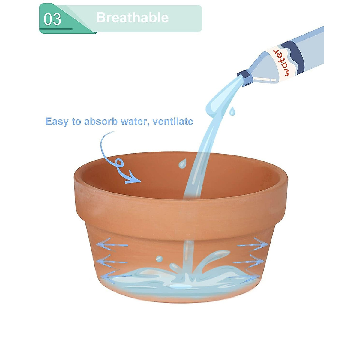 vensovo 8 Inch Terracotta Shallow Succulent Pot - 2 Pack Large Terra Cotta Clay Pot with Saucer, Cacuts Indoor and Outdoor Planters with Drainage Hole