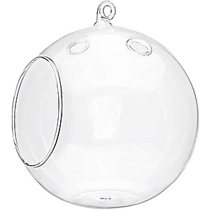 Mkono 6-Inch Hanging Glass Planter Round Air Plant Terrarium Decorations for Succulent, Tillandsia, Candle Holder, 2 Packs
