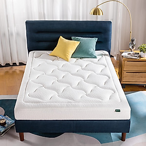 ZINUS 8 Inch Cloud Memory Foam Mattress, Queen, Fiberglass Free, Pressure Relieving, Mattress in A Box, CertiPUR-US Certified, White