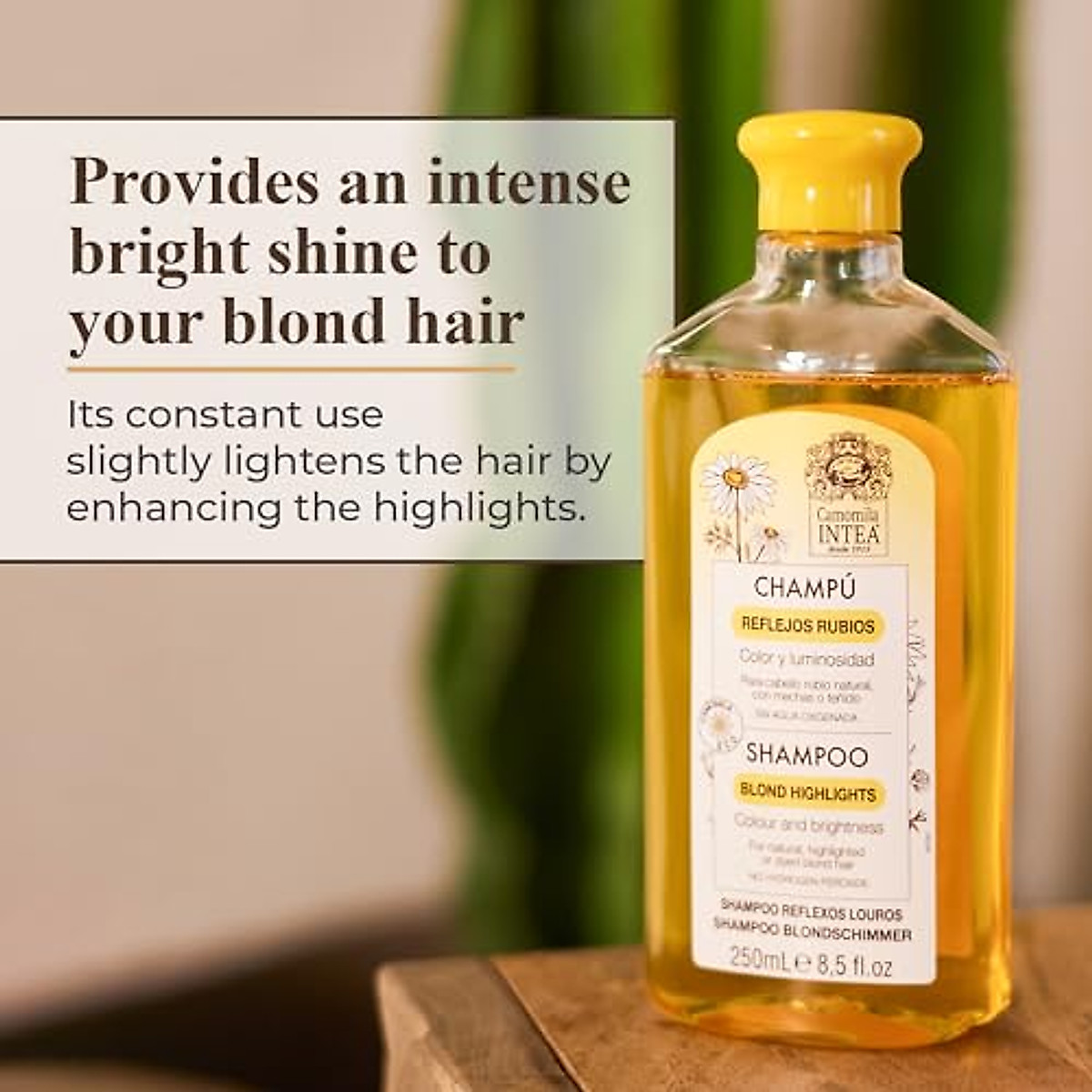 Intea Chamomile Shampoo - Premium Blonde Brightening Shampoo - Non-Ammonia, Easy Application for Natural or Dyed Hair - 8.5oz