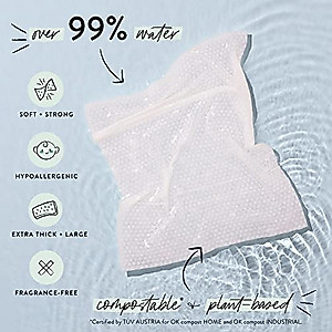 The Honest Company Clean Conscious Wipes | 99% Water, Compostable, Plant-Based, Baby Wipes | Hypoallergenic, EWG Verified | Pattern Play, 288 Count