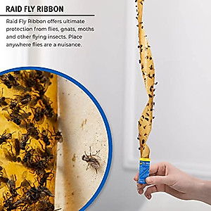 Raid® Fly Ribbon, Fly Traps for Indoors and Outdoors, 4 Pack