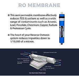 LiquaGen - 300 GPD Water Saver Upgrade Kit - Aquarium Reef/Reverse Osmosis Membrane + Full Membrane Housing Kit | RO Water Purification Replacement Filter Kit for Under Sink or Countertop Use