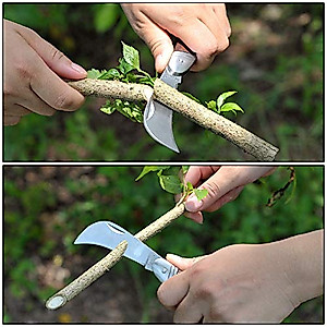 LCDCM Grafting knife/bud shoot knife/pruning knife/portable orchard stainless steel straight blade and Hawk blade (Single-Edged Knife)