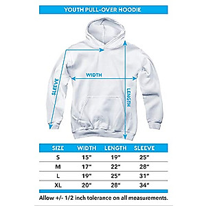 LOGOVISION Smurfs Gargamel And Azrael Unisex Youth Pull-Over Hoodie,Gargamel And Azrael Charcoal,Medium