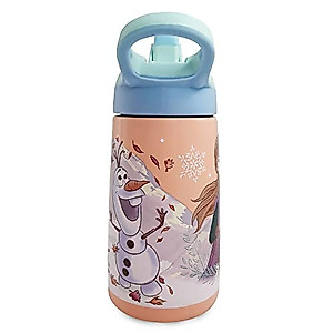 Disney Frozen Stainless Steel Water Bottle with Built-In Straw