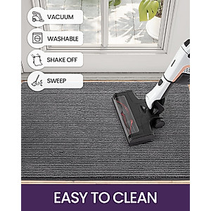 DEXI Door Mat Entryway Doormat Front Entrance Non-Slip Low Profile Washable for Inside Entry 19.5"x31.5",Grey