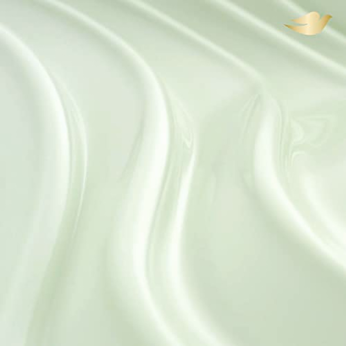 Dove Refreshing Body Wash Revitalizes and Refreshes Skin Cucumber and Green Tea Cleanser That Effectively Washes Away Bacteria While Nourishing Your Skin, 22 Fl Oz (Pack of 4)