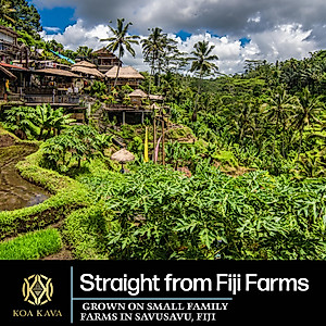 Koa Kava Fiji Kava Powder- Premium Noble Waka Kava Tea Made From Lateral Kava Root in Savusavu, Fiji. 8 oz