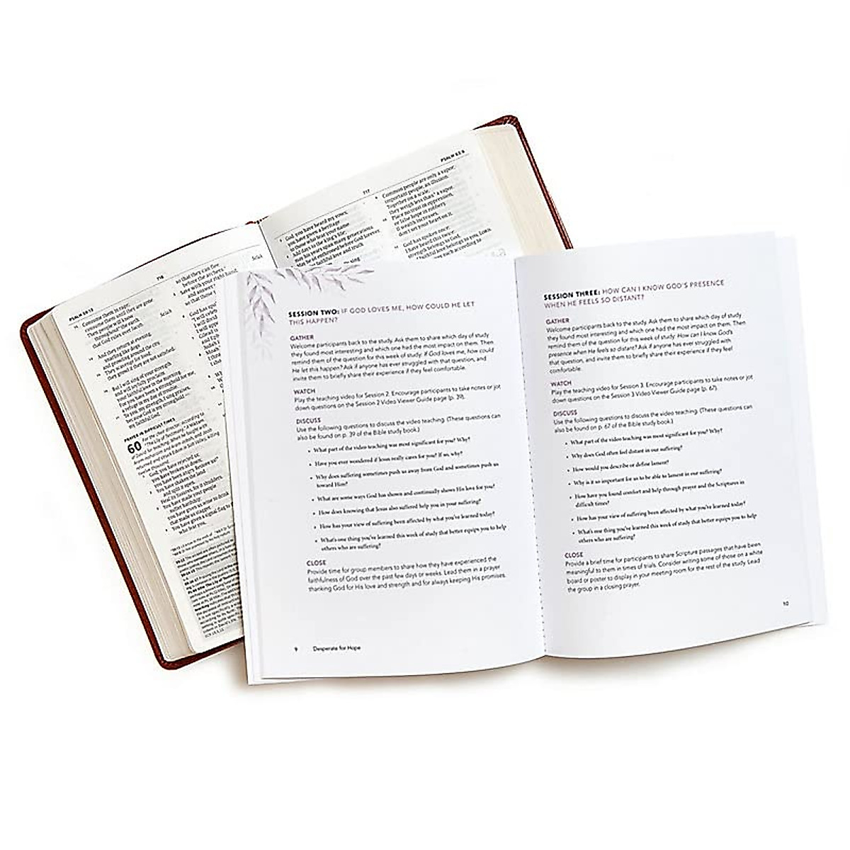 Desperate for Hope - Bible Study Book with Video Access: Questions We Ask God in Suffering, Loss, and Longing