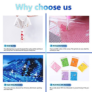 DIY 5D Diamond Painting by Numbers Kits for Adults,16"X12" DIY Paintings Crystal Rhinestone Diamond Embroidery Full Drill Cross Stitch Kit Pictures Arts Craft for Home Decor (Witch, 16"X12")