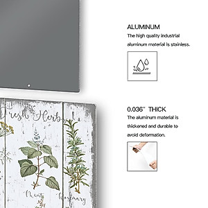 Putuo Decor Botanical Wall Decor, Education Infographic Herb and Spices Sign, Country Farmhouse Decoration Plaque for Bedroom, Kitchen, Garden, 12x8 Inches Aluminum Metal Art Sign
