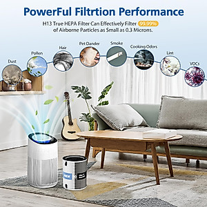 2 Pack Max/Mage/Mage Pro HEPA Replacement Filter for Afloia MAX/MAGE/MAGE PRO Air Purifier and Sans/Air-Honati/Compass Home Smart/Taylor Swoden/Cuckoo CAC-J1510FW/Rosewill RHAP-20001, RHAP-20002