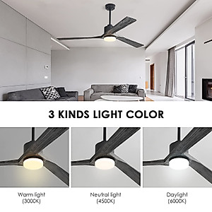 WINGBO 64" DC Ceiling Fan with Lights, 3 Reversible Solid Wood Blades, 6-Speed Noiseless DC Motor, Matte Black Finish Ceiling Fan with Remote, Gray