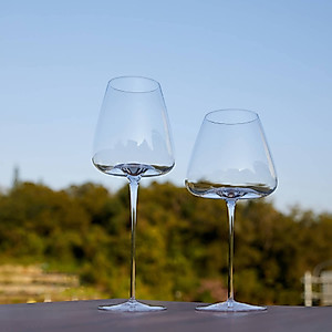 EUNA Red Wine Glasses - Extremely thin White Wine Glasses Burgundy Hand Blown Stemware Crystal Clear Long Stem Large Glassware as Gift (25 oz)