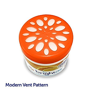 Bright Air Air Fresheners Solid Mandarin Orange and 14 Oz 2