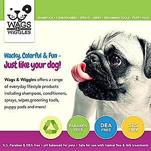 Wags & Wiggles Two-Sided Bristle and Squiggly Pin Brush for Small Dogs | Dog Brush for Dogs With Short Hair | Best Grooming Supplies for All Dogs, 2-in-1 Dog Grooming Brush