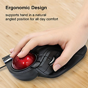 ELECOM HUGE Trackball Mouse, Wired, Finger-Operated, 8-Button Function, Palm Rest Attached, 52mm Smooth Red Ball Windows11, macOS (M-HT1URBK)