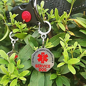 CIREGE Double Sided Service Dog Tag with Red Medical Alert Dog Identification, Service Dog Medallion, Stainless Steel, Stone Polishing Process, Durable, Psychiatric Service Dog Patch with Clip