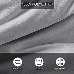 Eddie Bauer - Queen Duvet Cover Set, Reversible Bedding with Matching Shams, Stylish Home Decor for All Seasons (Herringbone Light Blue/Grey, Queen)