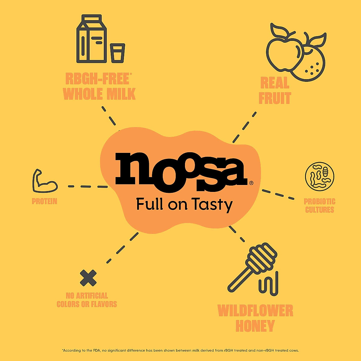 Noosa, Honey Yoghurt, 8 Ounce