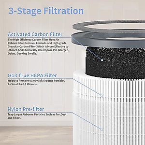 XBWW 2 Packs Vista 200 Replacement Filters Compatible with Levoit Vista 200 Air Cleaner Purifier with H13 True HEPA, Activated Carbon Filter and Nylon Pre-Filter, Part # Vista 200-RF