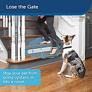 PetSafe Pawz Away Threshold Pet Barrier, Dog Proofing System for Doorways and Stairs, Designed to Train Pets Over 5 lb to Stay Out of Areas in Your Home, Battery-Operated Automatic Training