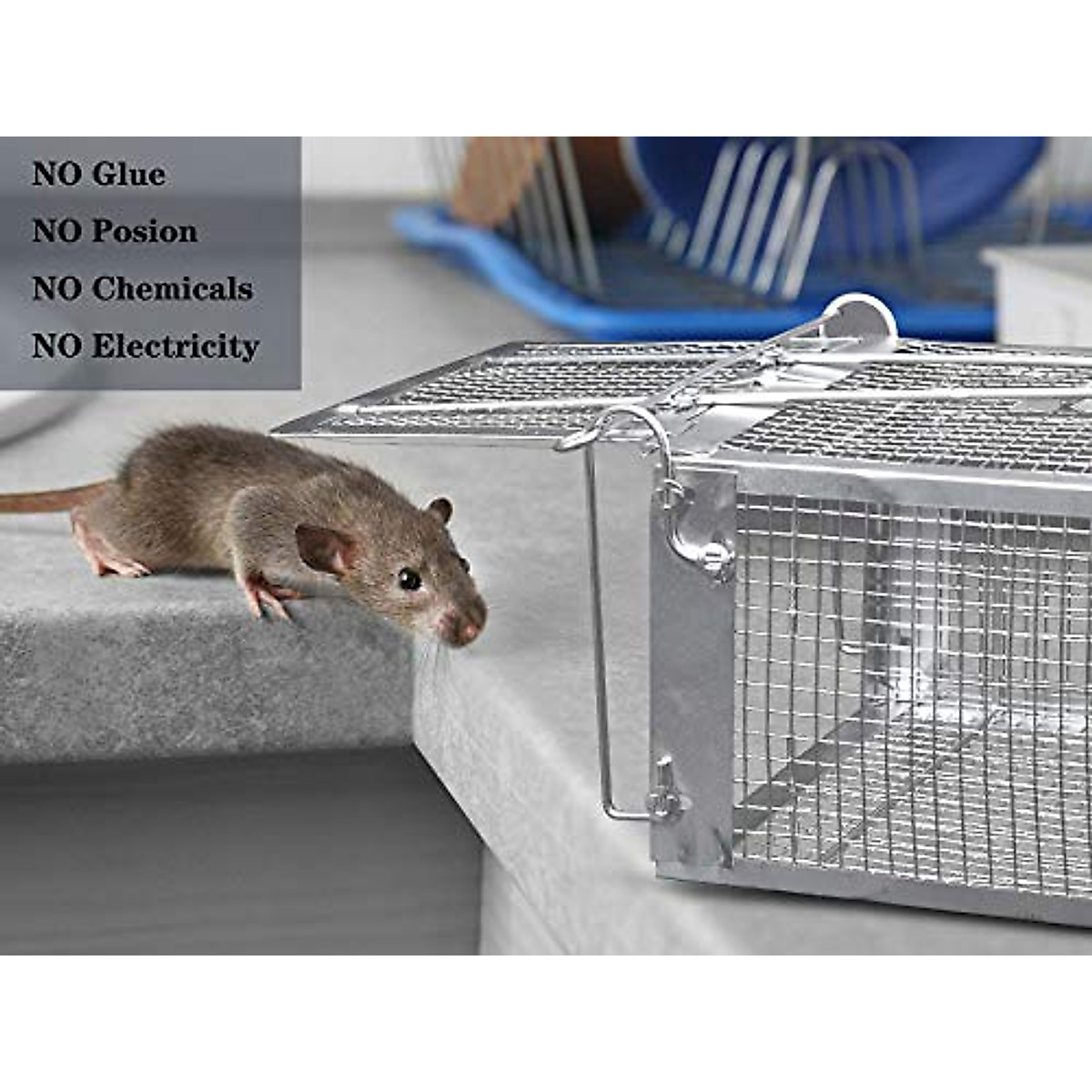 2-Pack Humane Rat Cage Traps, Live Mouse Rat Traps Catch and Release for Indoor Outdoor, Small Animals Traps, Easy to use, Pet Safe ( 10.6"x 5.5"x 4.5" )