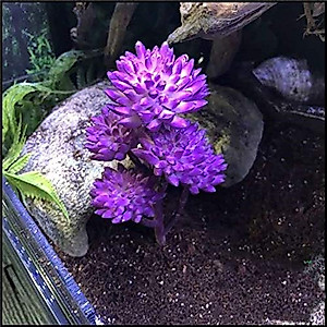 KERUIDENG Reptile Plants Artificial Terrarium Plants Reptile Plastic Plants for Reptile Habitats with Base -Purple…