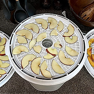 (8 Pack) Round Silicone Dehydrator Sheets, Dostk Premium Non Stick Silicone Mesh for Fruit Dehydrator , Dehydrator Tray Liner Reusable (Round 13" Diameter)