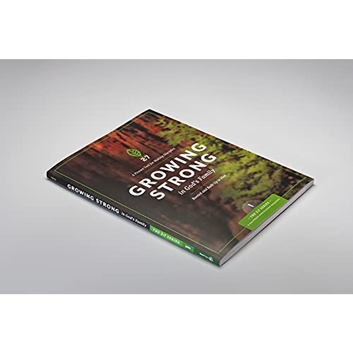 Growing Strong in God's Family: Rooted and Built Up in Him (The 2:7 Series)