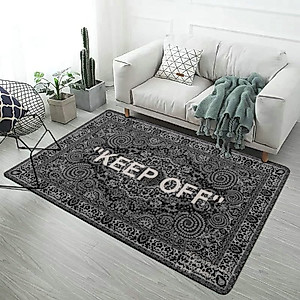 YIKUDU Keep Off Large Rugs Floor Mat Modern Carpet for Home Decoration Area Rug,Cozy Art Decoration Polyester Carpet 63 x 47 inch